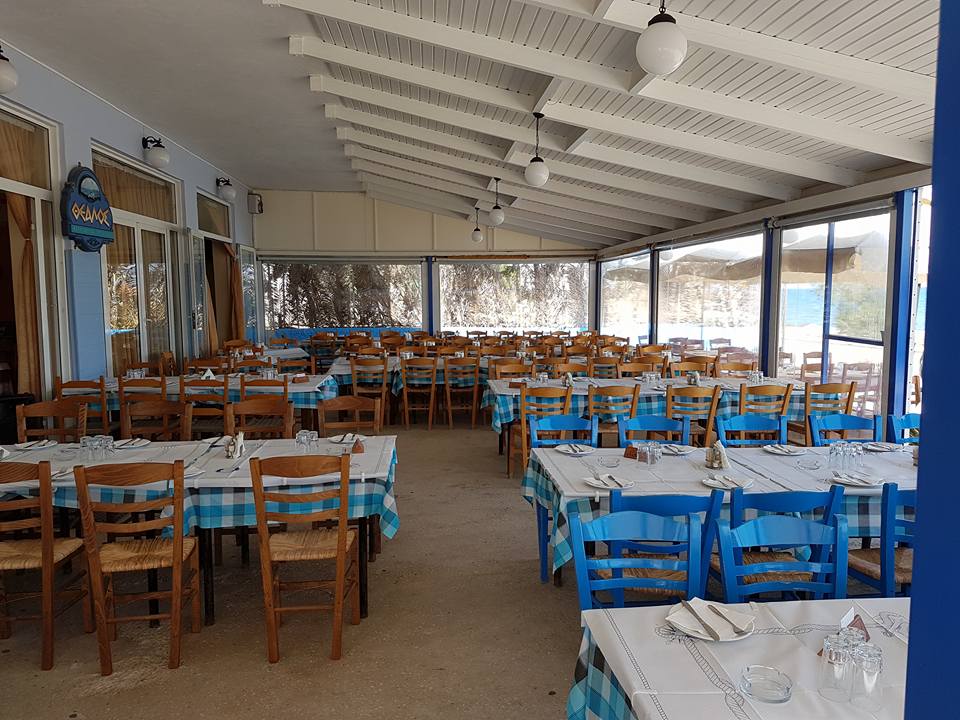 ΘΕΑΛΟΣ (Thealos) | VriskoLysi