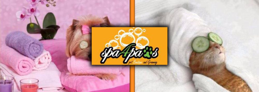 SPA 4 PAWS | VriskoLysi