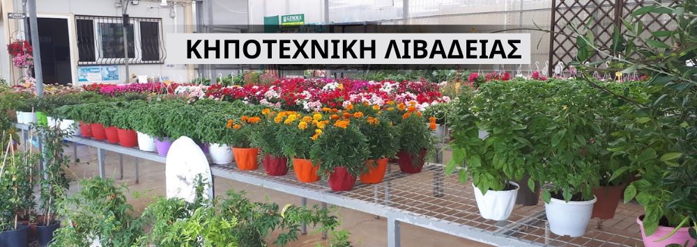 ΚΗΠΟΤΕΧΝΙΚΗ ΛΙΒΑΔΕΙΑΣ | VriskoLysi