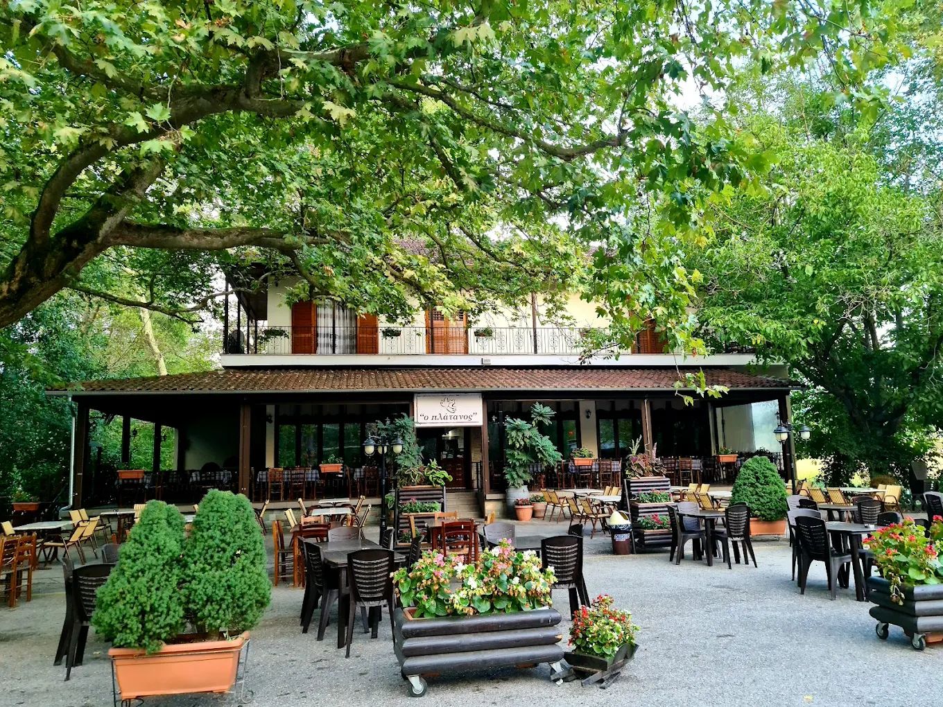 ΠΛΑΤΑΝΟΣ ΜΥΚΑΝΗ